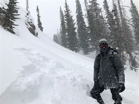 Dylan Johnston Arthouse