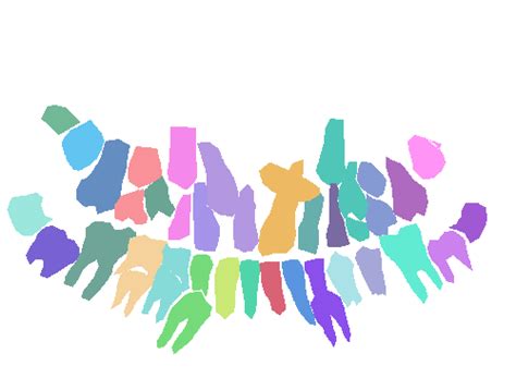 Teeth Segmentation On Dental X Ray Images Dataset Ninja