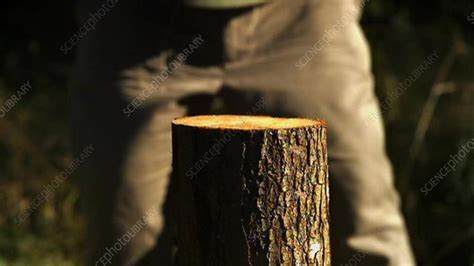 Axe Splitting A Log Stock Video Clip K Science Photo Library