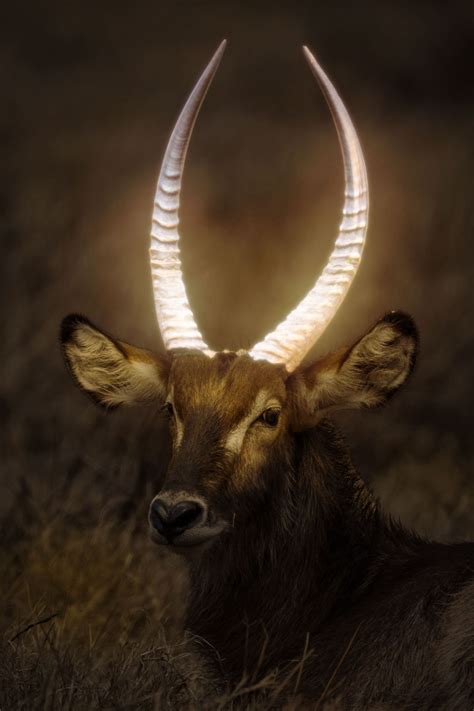 Faizan Ul Haq On Linkedin Designexcellence Creativeinnovation