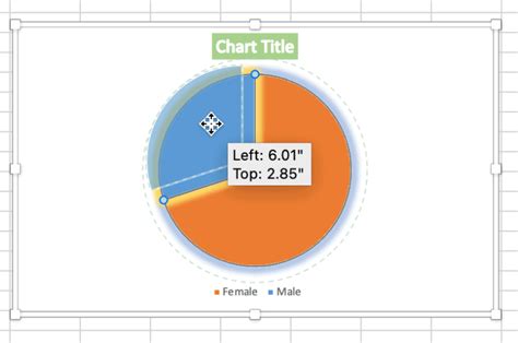 How To Create A Male Female Pie Chart In Excel Spreadsheet Daddy