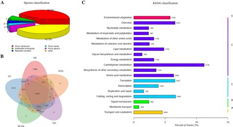 Expressed Gene Functional Annotation Classifications And Metabolic