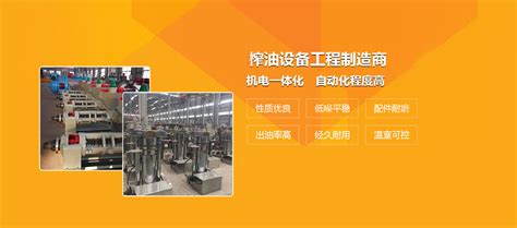 榨油机 全自动榨油机 精炼油设备 茶油精炼设备 河南中瑞粮油机械设备厂家