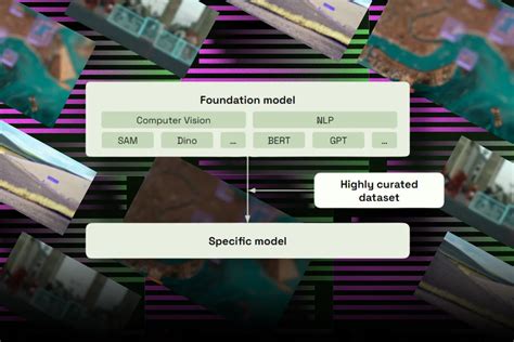 Ways To Adapt A Foundation Model To Fit Your Specific Needs