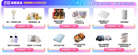 T 细胞激活：免疫应答的启动钥匙