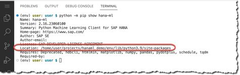 Persisting Python Environment When Using Jupyter N Sap Community