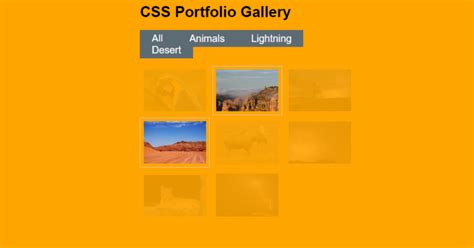 Create A Filter Image Gallery Using Html And Css