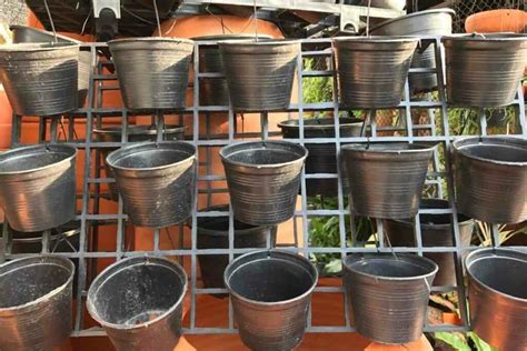 What Is The Best Way To Recycle Plastic Garden Plant Pots Gardenia