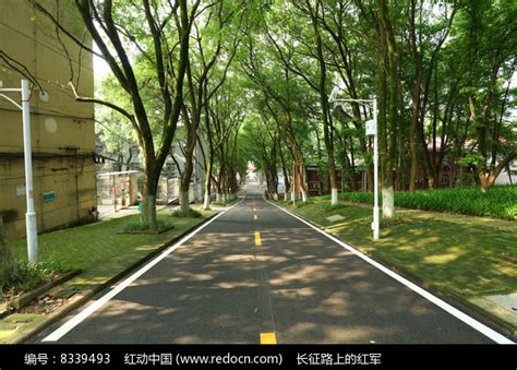 华中农业大学的林荫道高清图片下载 红动中国