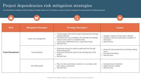 Project Risk Mitigation Slide Team