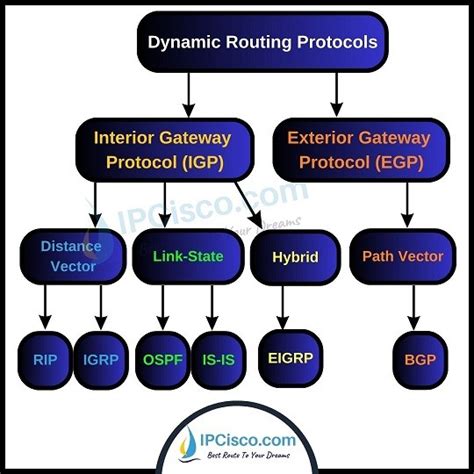 Routing Protocols Bgp Ospf Eigrp Is Is Rip ⋆ Ipcisco