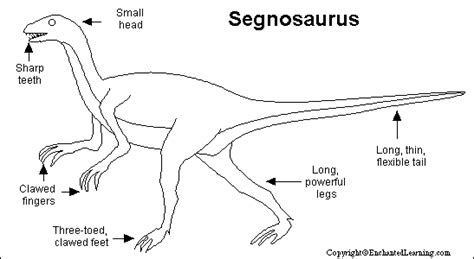 Segnosaurus Printout