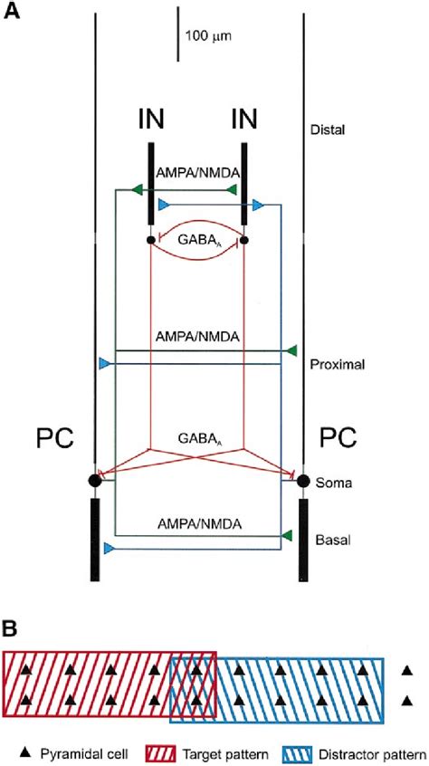 Schematic Of The Prefrontal Cortex Pfc Network Model A