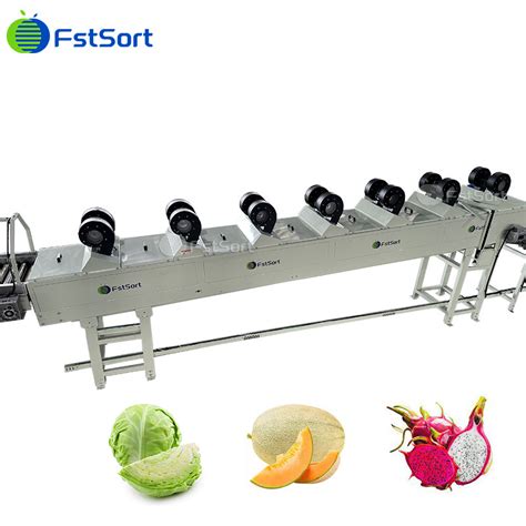 Fruit Grading Machine Manufactures Dragon Fruit Weight Sorting Packing System Cabbage Sorter