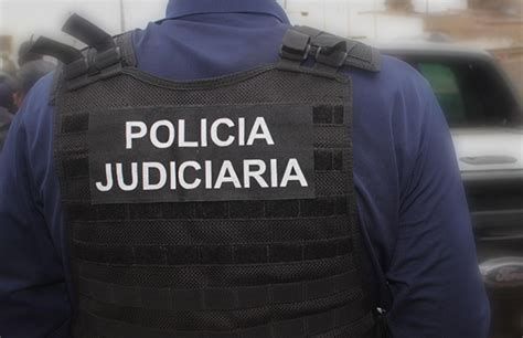 Pj Apreende 35 Toneladas De Cocaína Escondidas Em Paletes De Bananas