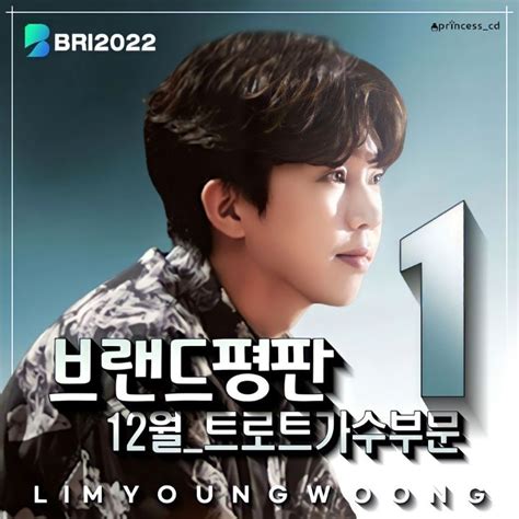 임영웅 브랜드평판 22년 12월 트로트 부문 1위 🎊 네이버 블로그