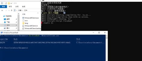 Bug Cs Script Cannot Be Compiled · Issue 2458 · Mccteamminecraft Console Client · Github