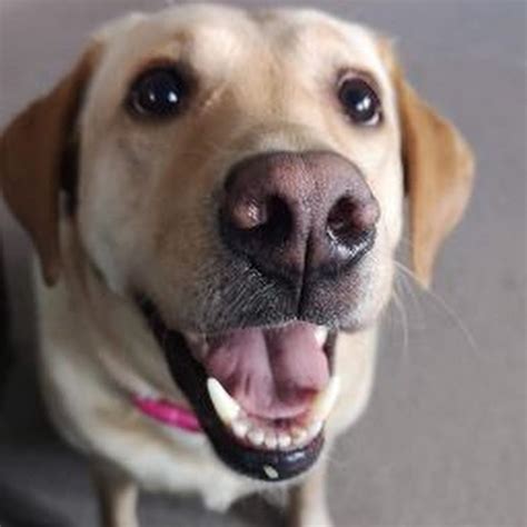 Jenny Pearson Youtube