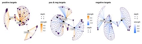Transcription Factor Regulatory Network Analysis • Hdwgcna
