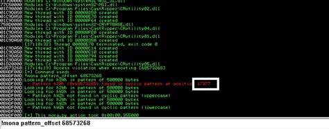 Castripper 25070 Buffer Overflow Exploitation Using Monapy Buffer Overflows