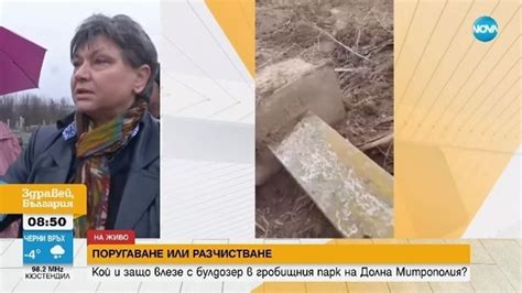 Изоран гробищен парк и изпочупени паметници в Долна Митрополия