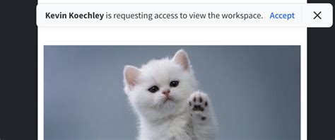 Is There An Api Available To Invite Users Or Guest To A Workspace Also Can We Create A