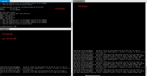 如何支持keepalived无法负载到dns2服务器上 · Issue 1307 · Pymumusmartdns · Github