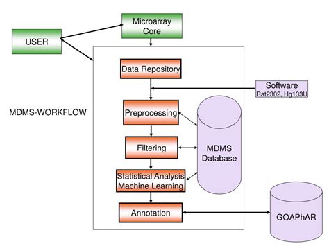 Ppt Mdms A Web Tool To Manage And Analyze Gene Expression Microarray