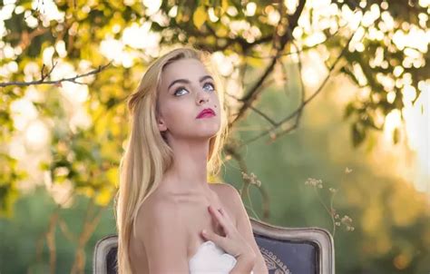 Wallpapers For Theme Solange Rodrigues