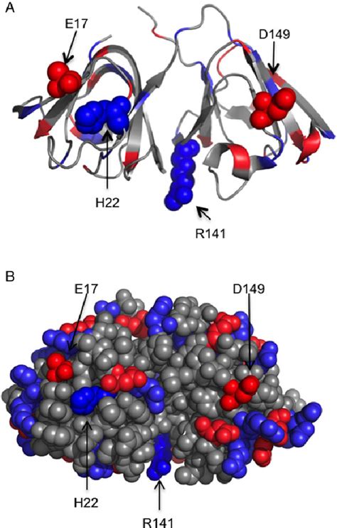 Figure 1 From Modulating Non Native Aggregation And Electrostatic Protein Protein Interactions