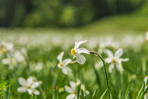 4 Column Layout Stack Demo Divi Workbench