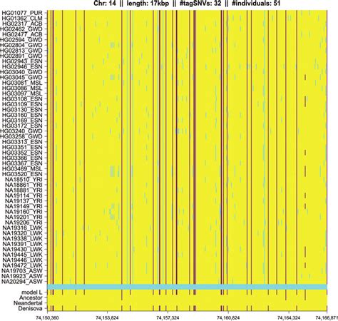 —example Of A Denisovan Matching Ibd Segment Shared Among Africans The