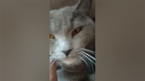 я знаю что ты не лубиш когда я тебе называю соня сонЯ сонЯ соняЯя Youtube