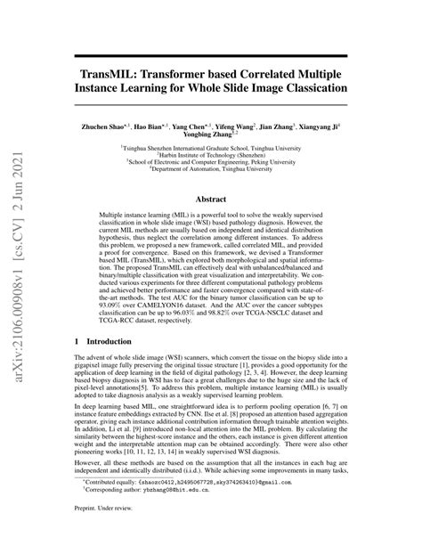 PDF TransMIL Transformer Based Correlated Multiple Instance Learning
