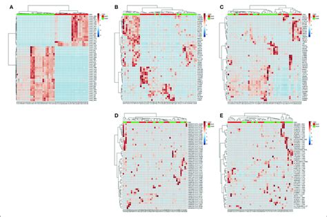 Heatmap For The Hierarchical Clustering Using Euclidean Matrix