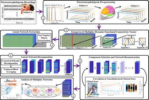 Github Al Sadmdfcn The Multiplex Dynamic Functional Connectivity Network Mdfcn Analysis