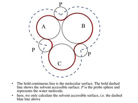 Ppt New Analytical Method For Evaluating Macromolecules Solvent Accessible Surface Area