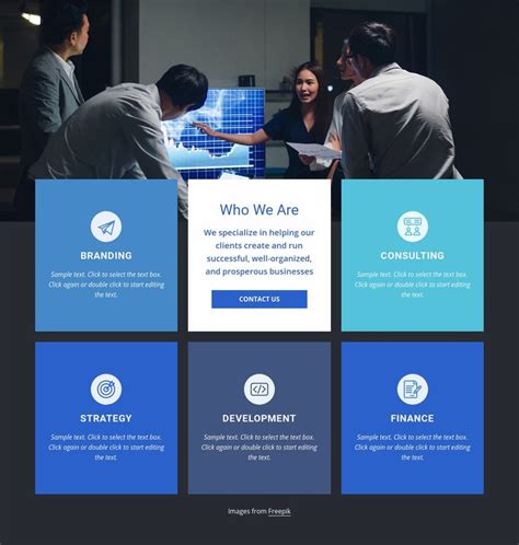 a leader in analytics consulting html code example by nicepage