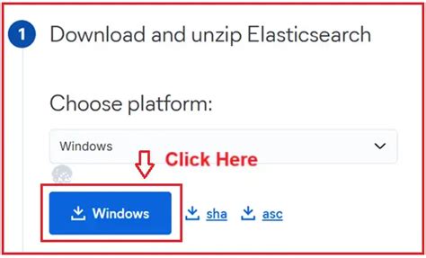 Elasticsearch In Aspnet Core Web Api Dot Net Tutorials