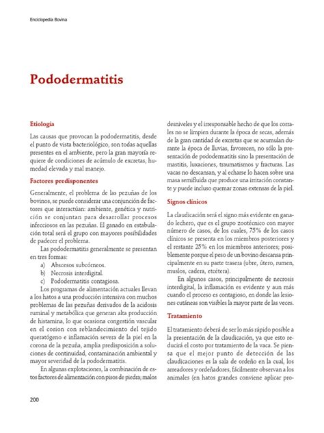 Pododermatitis Pdf Vacas Dolor