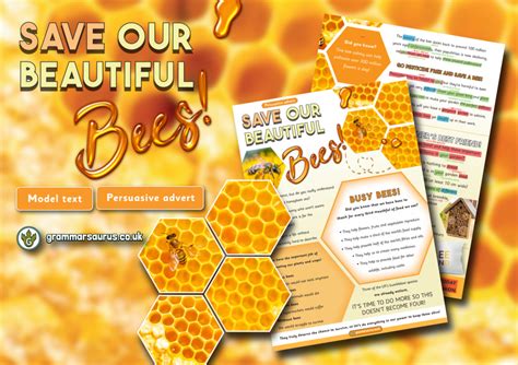 Year 3 Model Text Persuasive Advert Save Our Beautiful Bees Gbsct P3 Grade 2 And 2nd Class