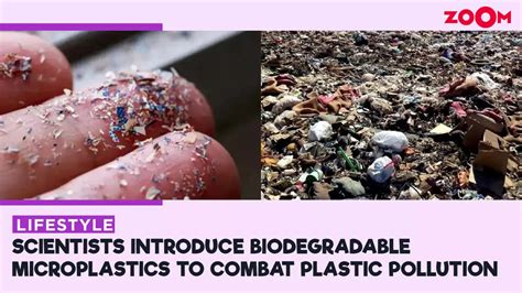 Algae Based Biodegradable Plastic Scientists Introduce Biodegradable Microplastics To Combat