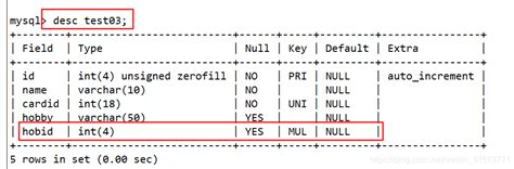 Mysql数据库增删改查（基础操作命令详解）mysql基础命令增删查改 Csdn博客