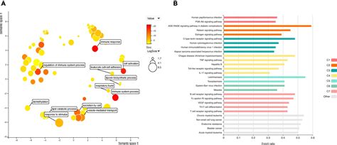 Frontiers Microarray Meta Analysis Reveals Il6 And P38β Mapk11 As Potential Targets Of Hsa Mir
