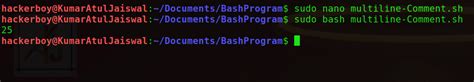 Bash Scripting Multiline Comments Hacking Truth