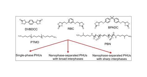 Combined Effects Of Carbonate And Soft Segment Molecular Structures On The Nanophase Separation