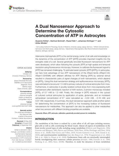 Pdf A Dual Nanosensor Approach To Determine The Cytosolic