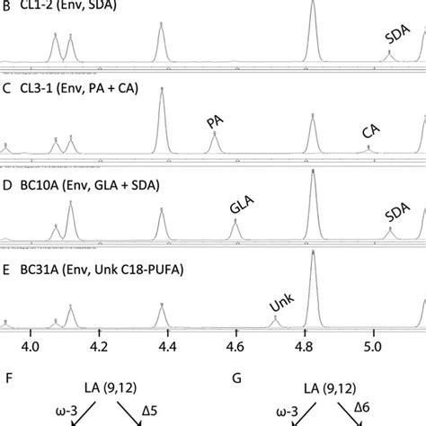 Rna Isolated From Transgenic C Reinhardtii Rna Isolated From