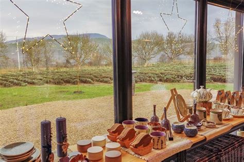 В Крыму начат прием заявок на участие в конкурсном отборе проектов развития сельского туризма на