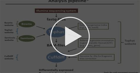 Lecture 5 Mrna Sequencing Data Analysis Deep Mrna Sequencing Coursera